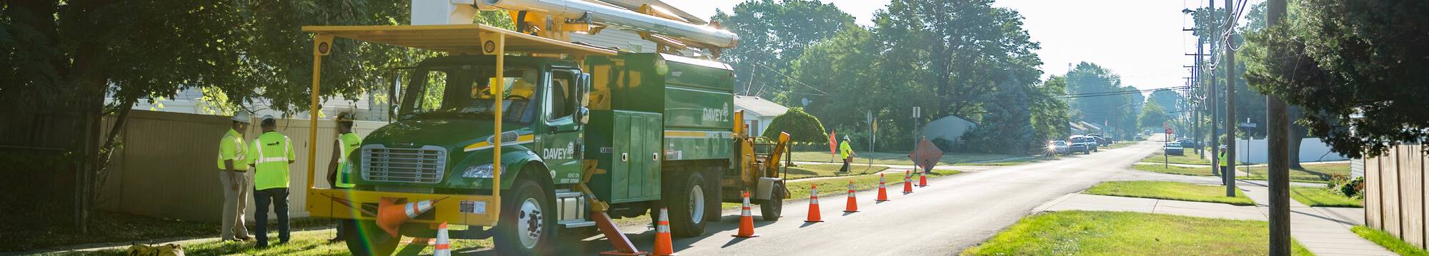 Utility Services | Davey Tree