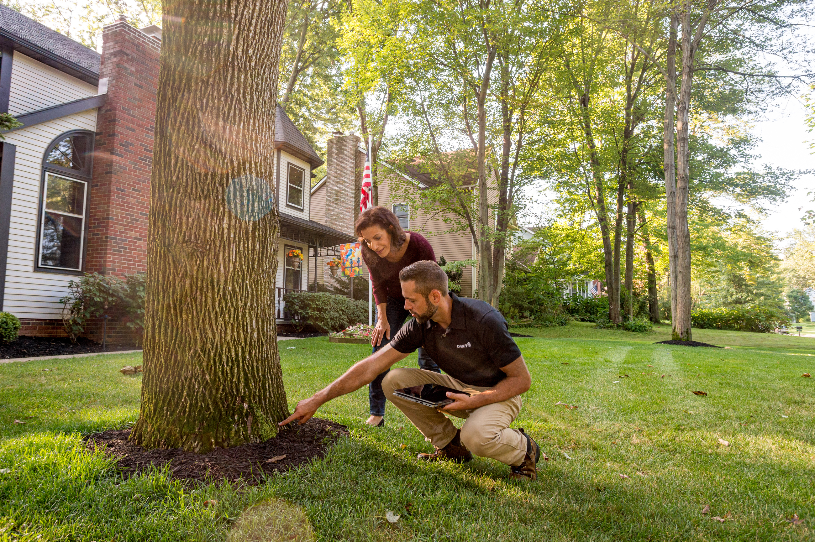 Tree Health Inspection Services & Treatment | Davey Tree