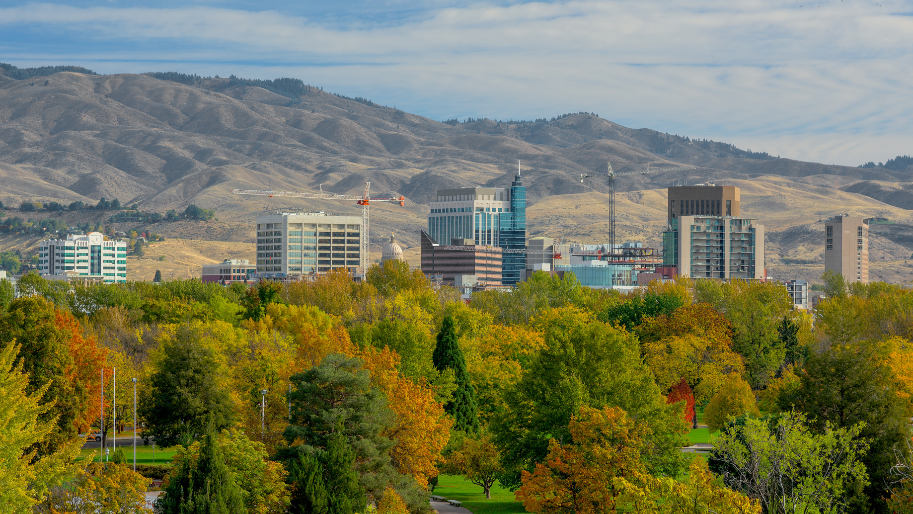 Urban Forestry Management Software | Davey Resource Group