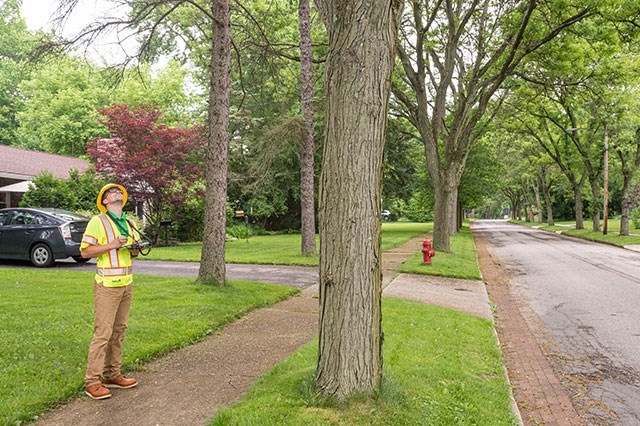 Urban Tree Canopy Assessments & Mapping | Davey Resource Group