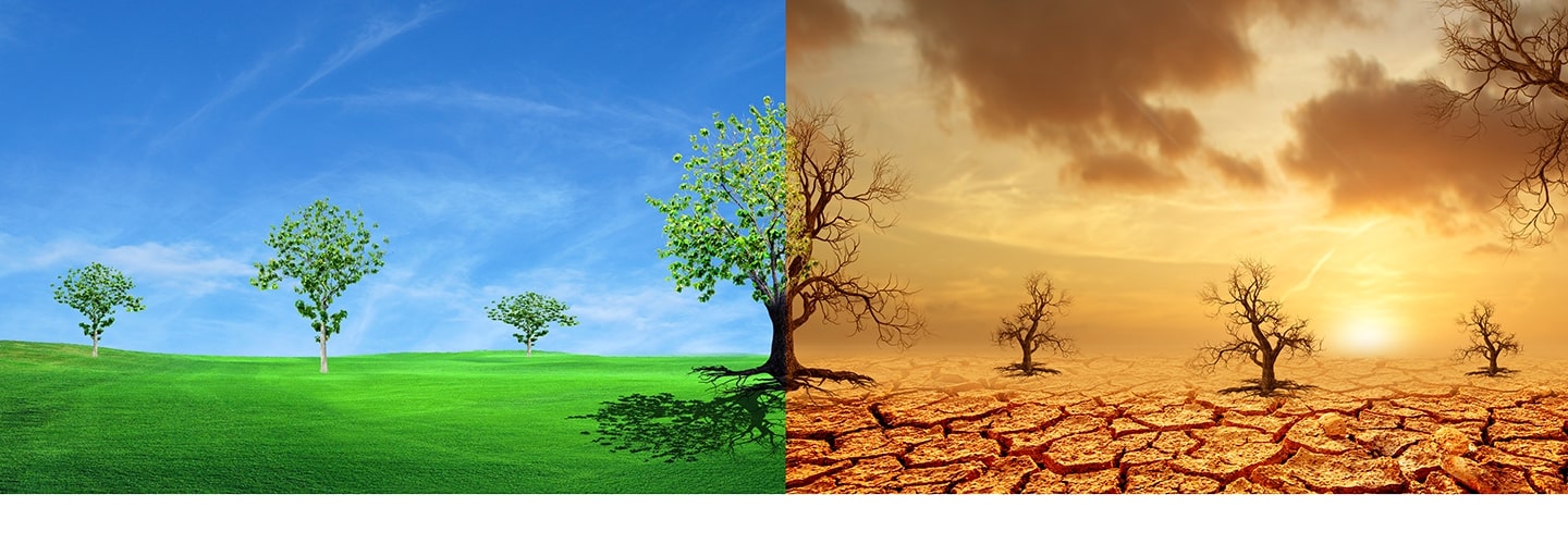 Addressing Climate Change Projections & Facts